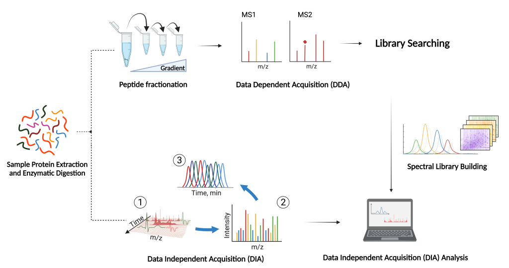 DIA 定量蛋白质组学 Westlake Omics ｜ 西湖欧米（杭州）生物科技有限公司