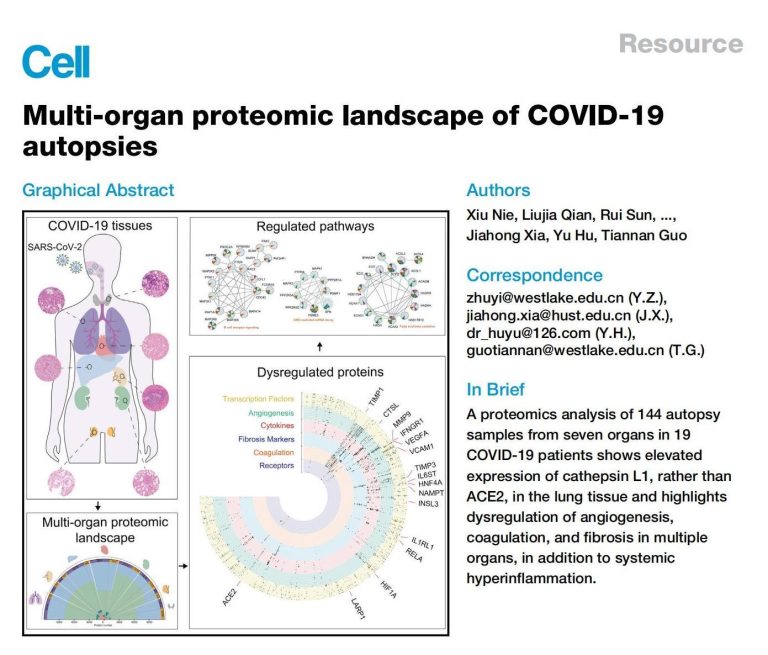 TMT™ (Tandem Mass Tag™) Technology - Westlake Omics ｜ 西湖欧米（杭州）生物科技有限公司