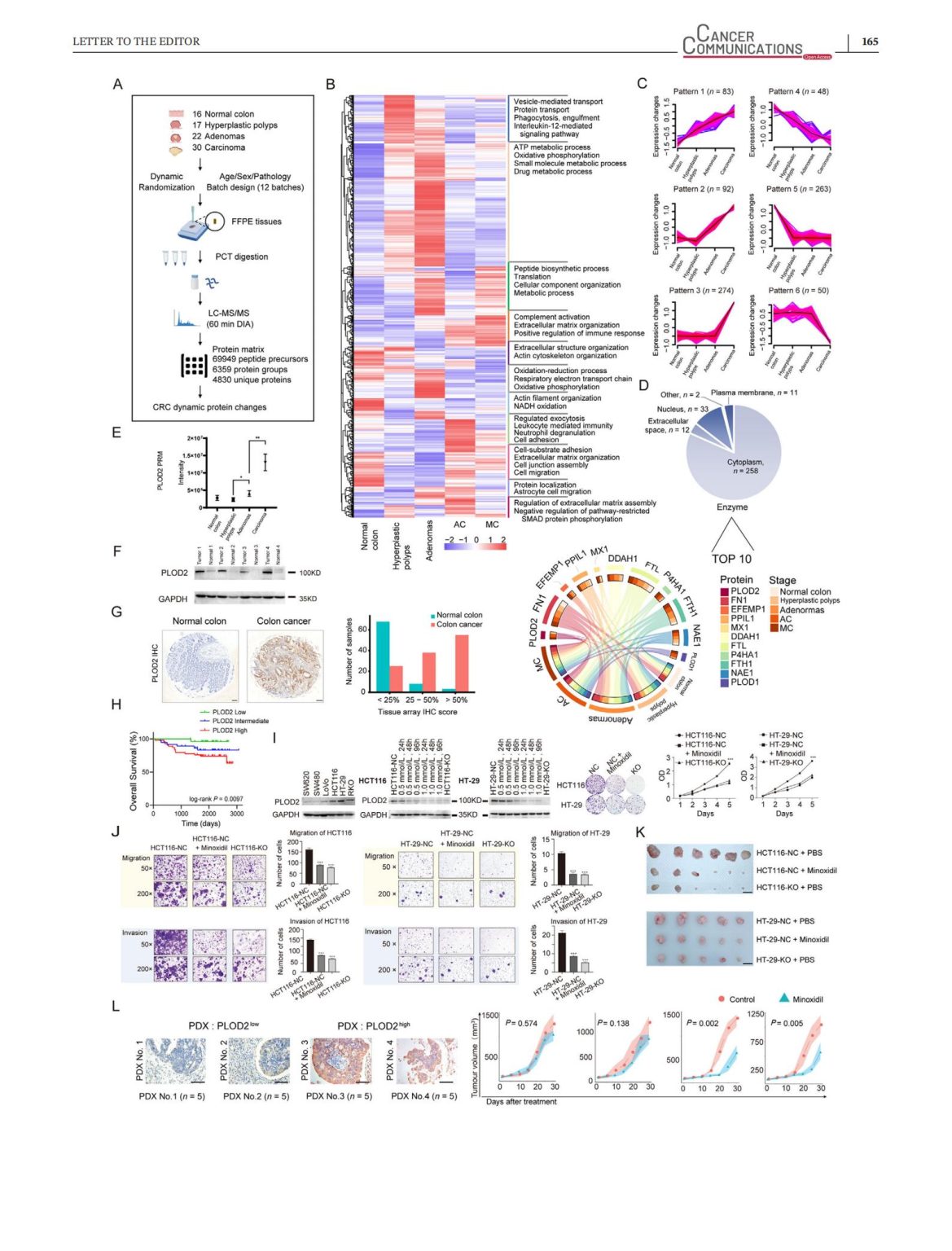 DIA 定量蛋白质组学 Westlake Omics ｜ 西湖欧米（杭州）生物科技有限公司